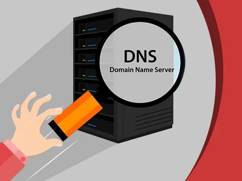 How to add DNS records in cPanel Hosting | BaseZap