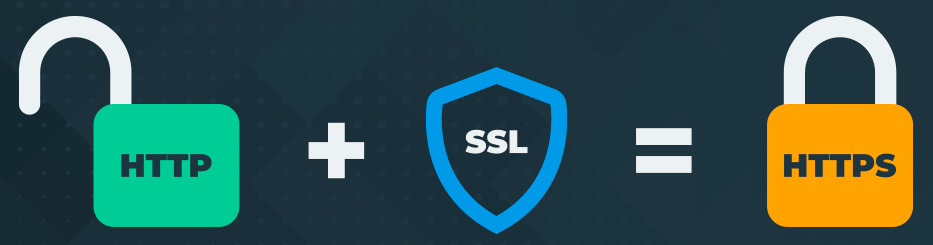How To Check Ssl Status For Your Domain Basezap